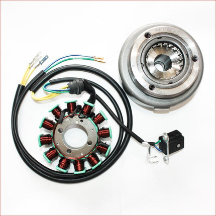 12 Pole Magneto Stator Roller Flywheel 200cc 250cc Engine PIT Quad Dirt ...