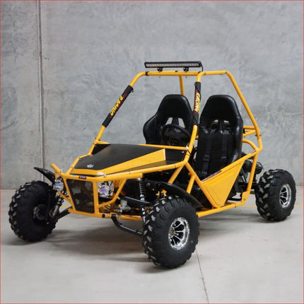 200GK-2SR Piranha Buggy | 200cc 2 Seater Off-Road Dune Buggy ...